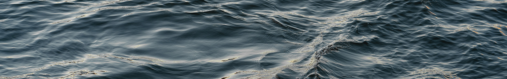 HydroForecast - Upstream Tech